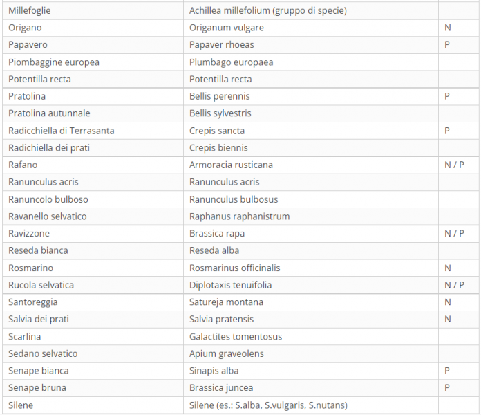 Ecoschema 5, ecco l’elenco delle specie ammesse per i miscugli - Agrobiznes.it